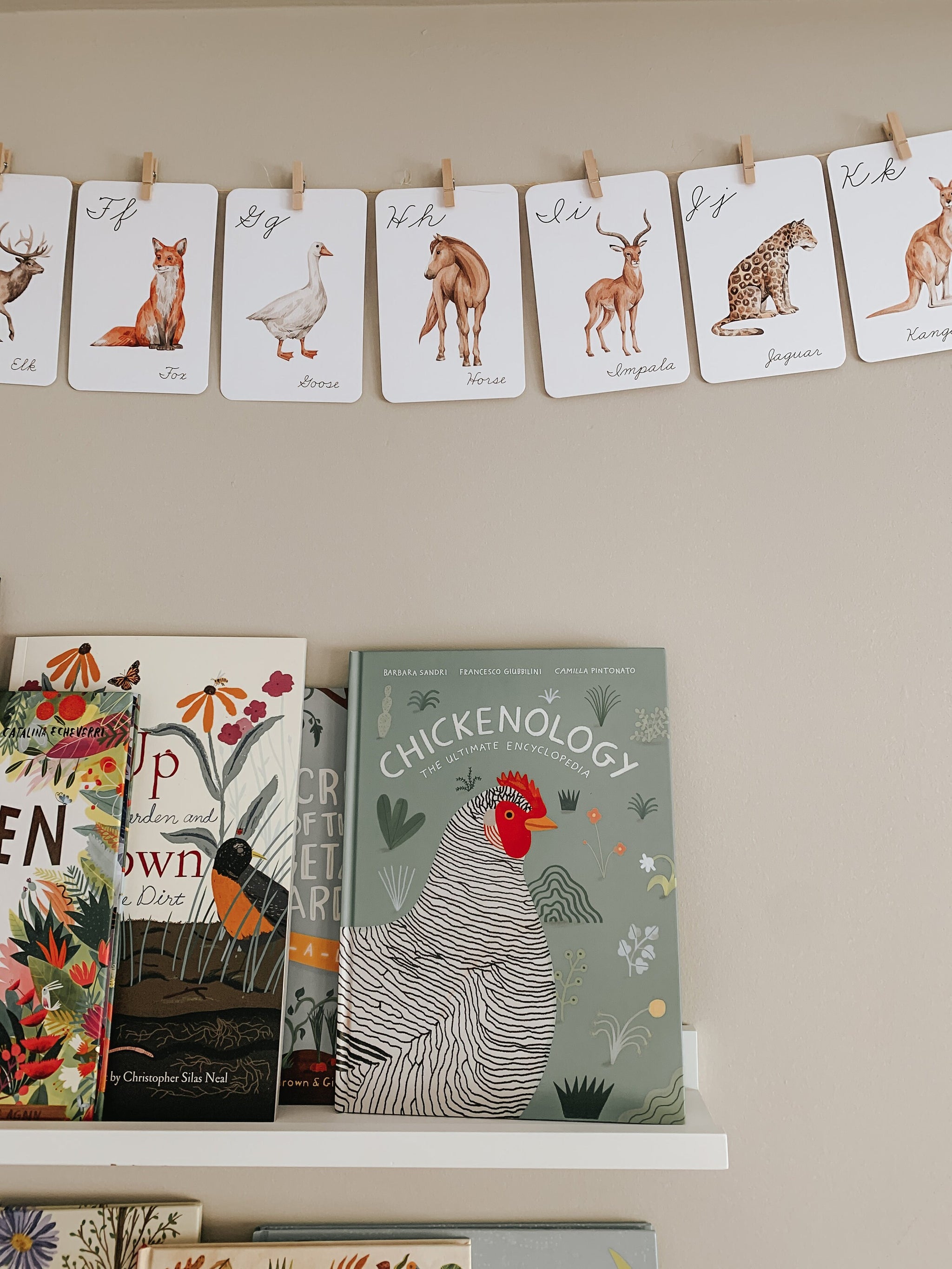 Animals A - Z Cursive Flashcards – Verily Schoolhouse Shop