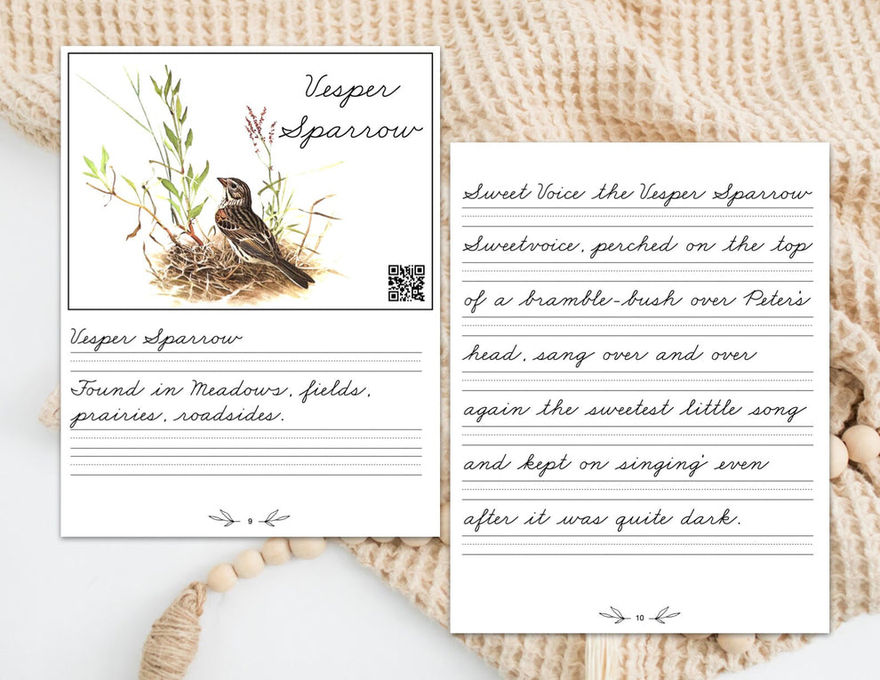 Burgess Birds in Cursive – Verily Schoolhouse Shop